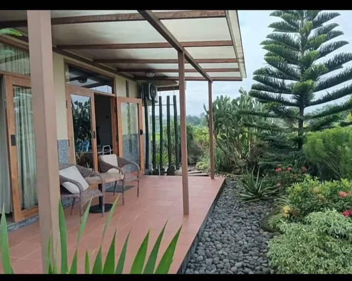 Omah Akasuti - Kretek