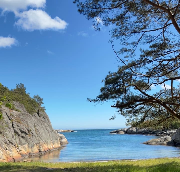 Usjenert Hytte Med Panoramautsikt - Lillesand