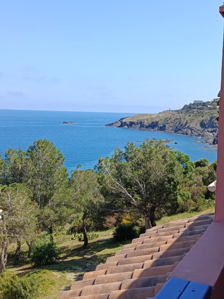 L'écrin Des Aloès - Vue Mer - Confort & Calme - Plage De Cerbère