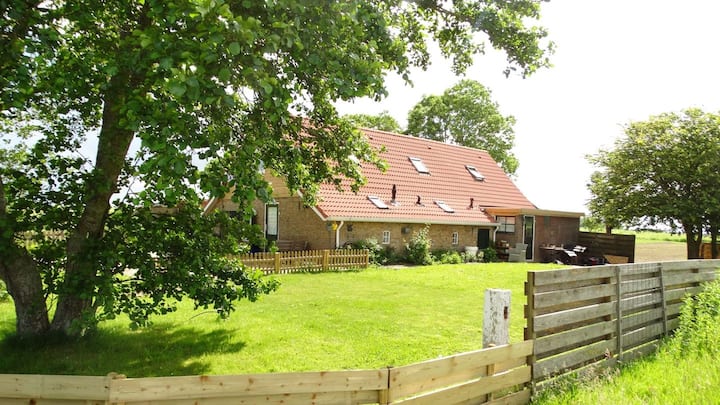 B&b Het Blije Schaap - Ameland