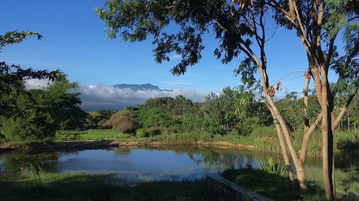 Mountainview Bandipur - Bandipur