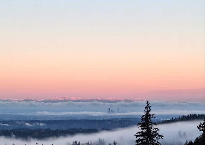 Breathtaking Panoramic View Of The Entire Seattle - Bellevue
