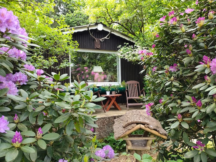 Romantische Märchenhütte Mit Schloßblick - Biedenkopf