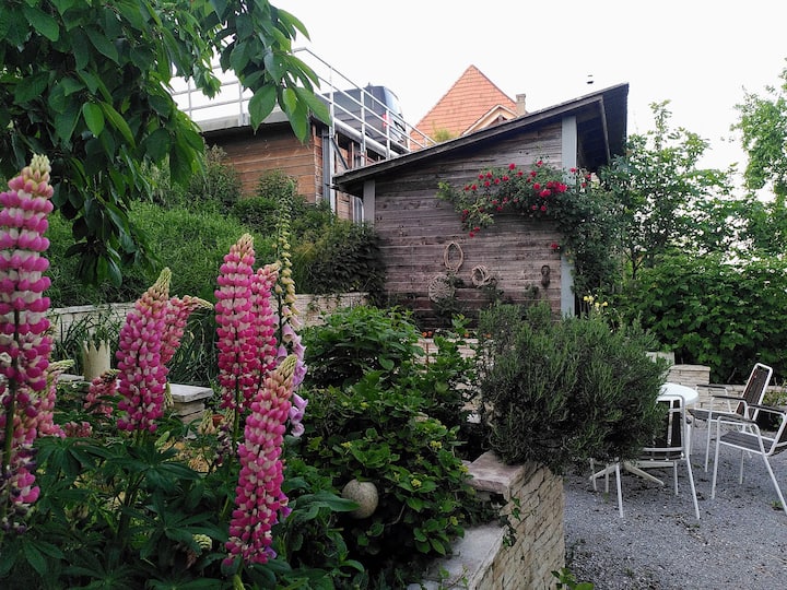 Studio Mit Charme In Wunderbarer Landschaft - Solothurn