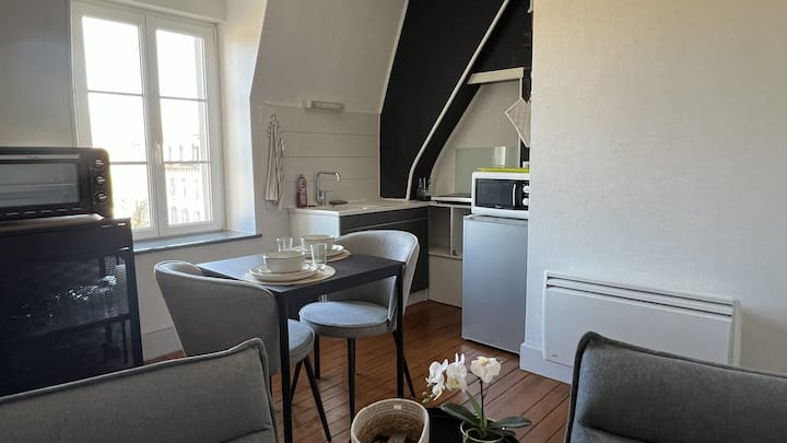 ​F1 Meublé 30m² – Face Casino, Parc Et Thermes - Vittel