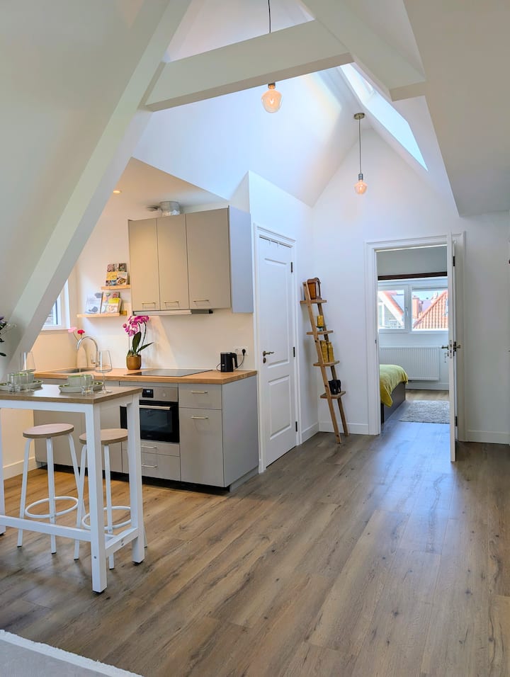 Newly Renovated Loft 10min From City Centre &Beach - Scheveningen