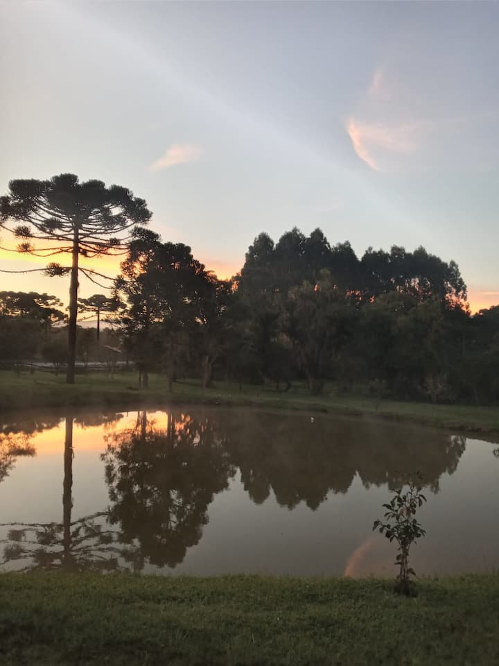 Edicula Multifuncional - Campo Alegre