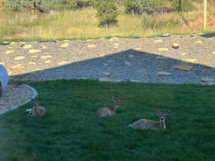 Prairie Smoke Retreat - Devils Tower, WY