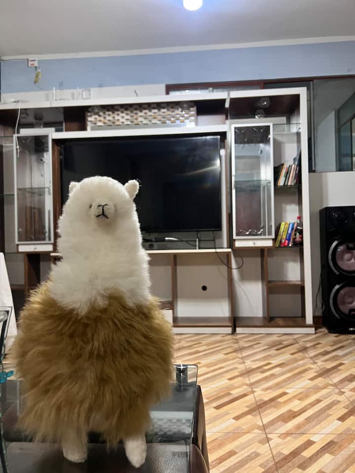 Departamento Con Mirador De Lujo. - Ayacucho