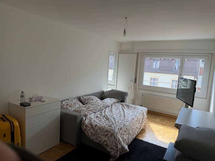 Un Studio Lumineux Au Cœur De Lausanne - Lausanne