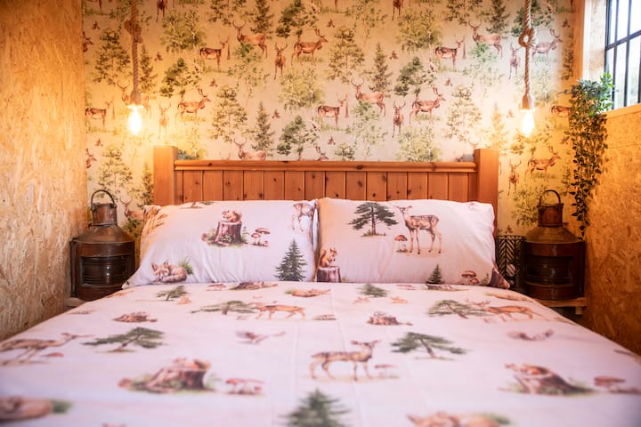 Cosy, Retired Horse Box. - Exmouth, UK