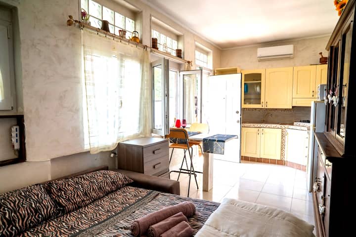 Il Maestro•check-in H24•5minuti Dall'aeroporto - Fiumicino