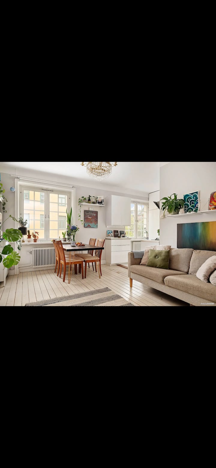 Spacious And Beautiful Apartment In Sofo - Stockholm