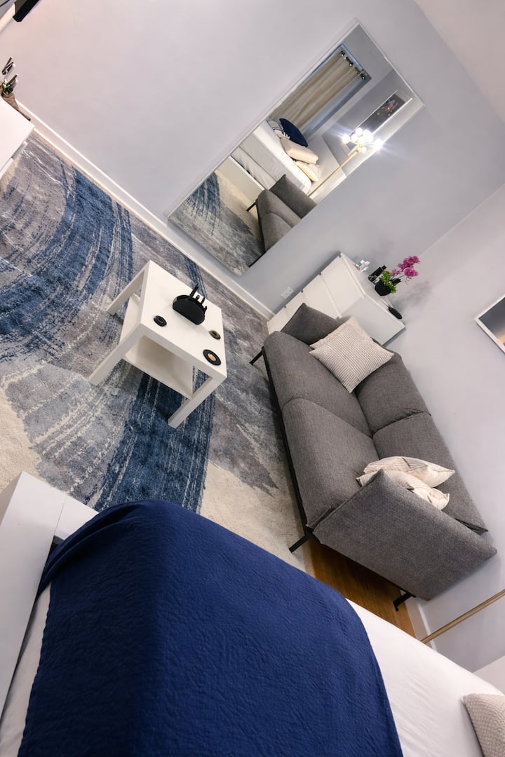 Renovated Cozy Bachelor Downtown Toronto - Toronto