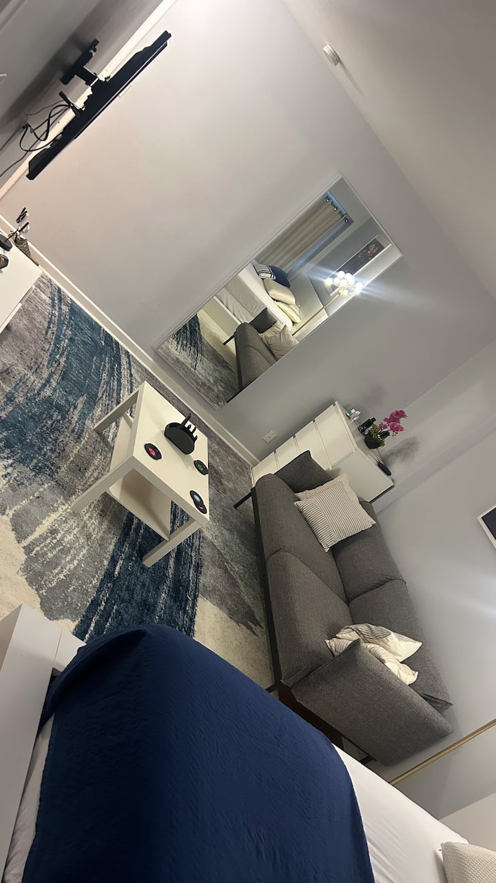 Renovated Cozy Bachelor Downtown Toronto - Toronto