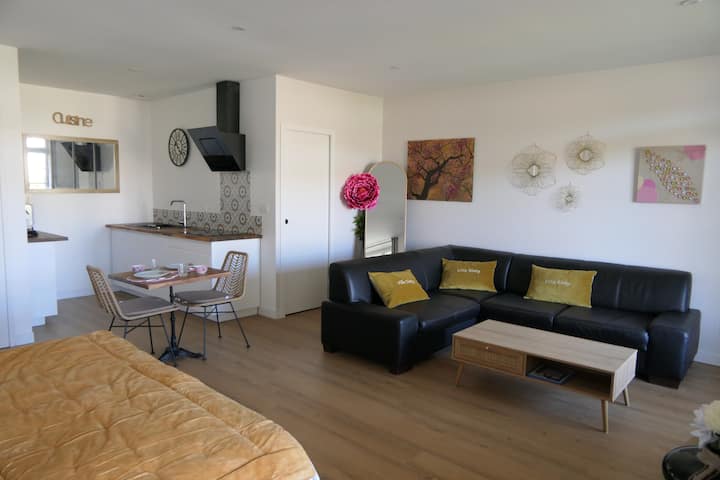 Studio Terrasse Vue Inoubliable Sur Le Lot - Ibis Villeneuve Sur Lot