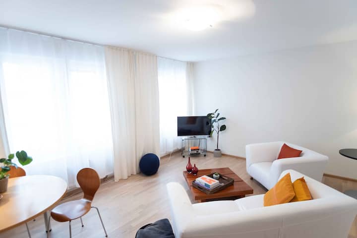 Downtown, Safe & Serene, Everything @ Yr Doorstep! - Basel
