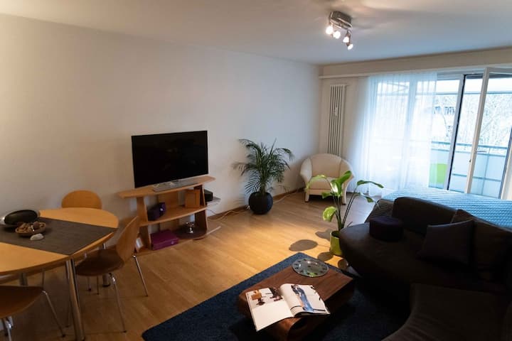 Business/ Fam Home Near Rhine & Recreation 3 Pers. - Bâle