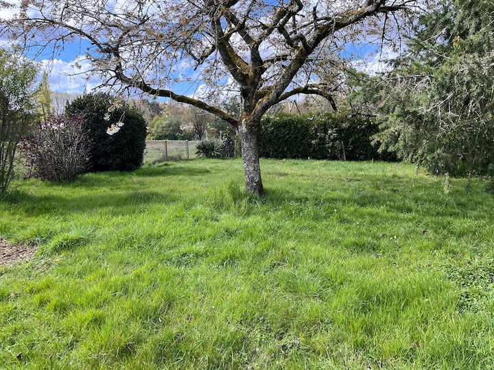 Grande Maison à 5 Minutes Du Site Fédéral - Lamotte-Beuvron