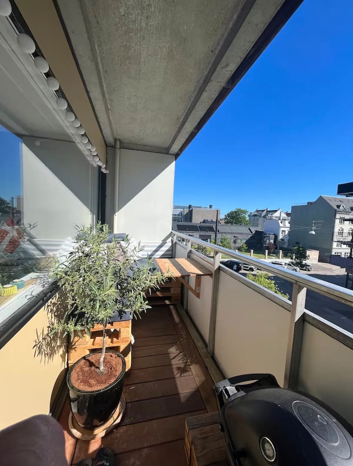 Hyggelig Lejlighed Med Tagtersse - Copenhaguen