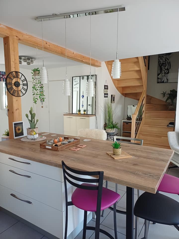 Maison Lumineuse 3 Ch, Terrasse Et Jardin - Le Bourget-du-Lac