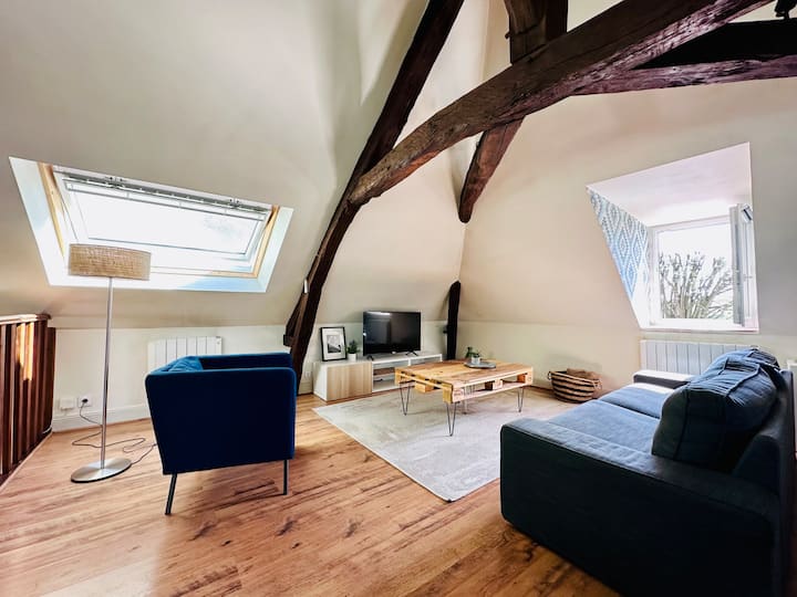 Les Bords De Loire - Blois