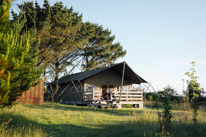 Tembo African Safari Tent At Wrinklers Wood - St Agnes