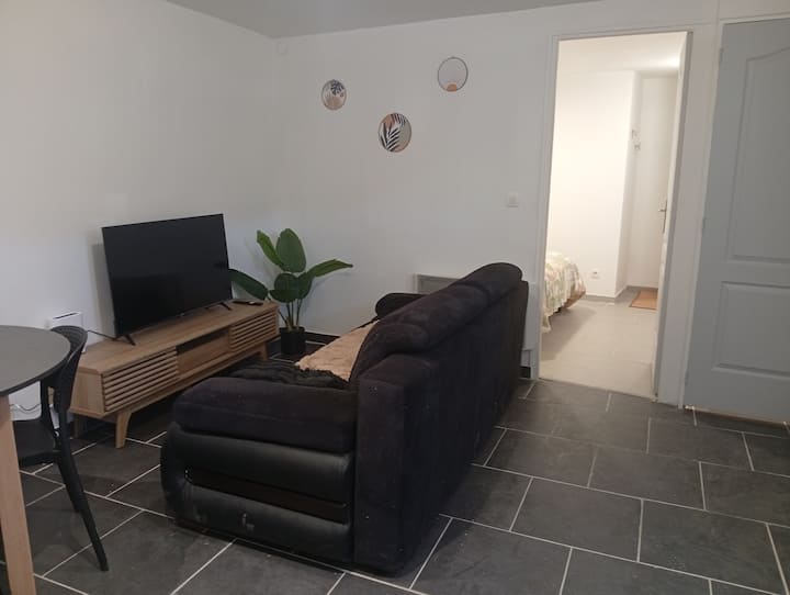 Studio Cozy Tout éQuipé - Chavanay - Saint-Clair
