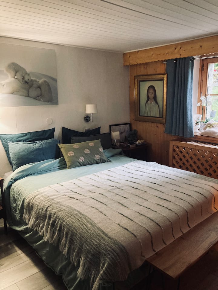 Maison Avec Suite En Indépendance - Argentière