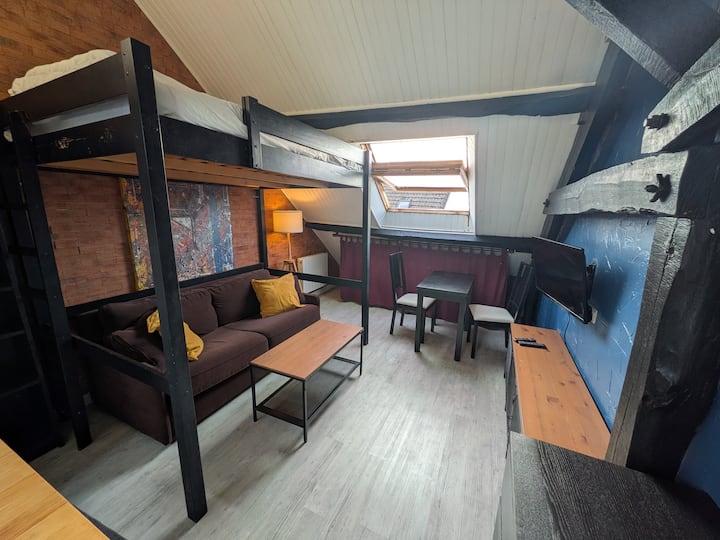 Studio Cosy Sous Les Toits Avec Mezzanine · Linas - Essonne