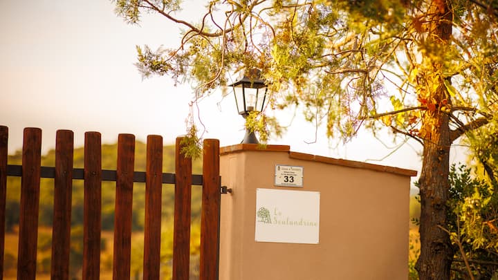 Lo Scalandrino - Appartamento Olivo - Grosseto