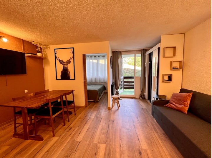 Cosy & Lumineux – 4 Pers, Navette Ski + Balcon - Briançon