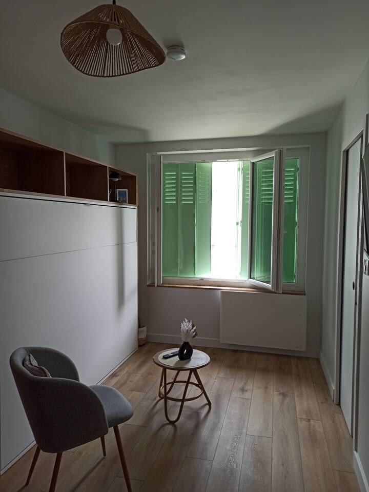 Cosy Studio Meublé - Vichy