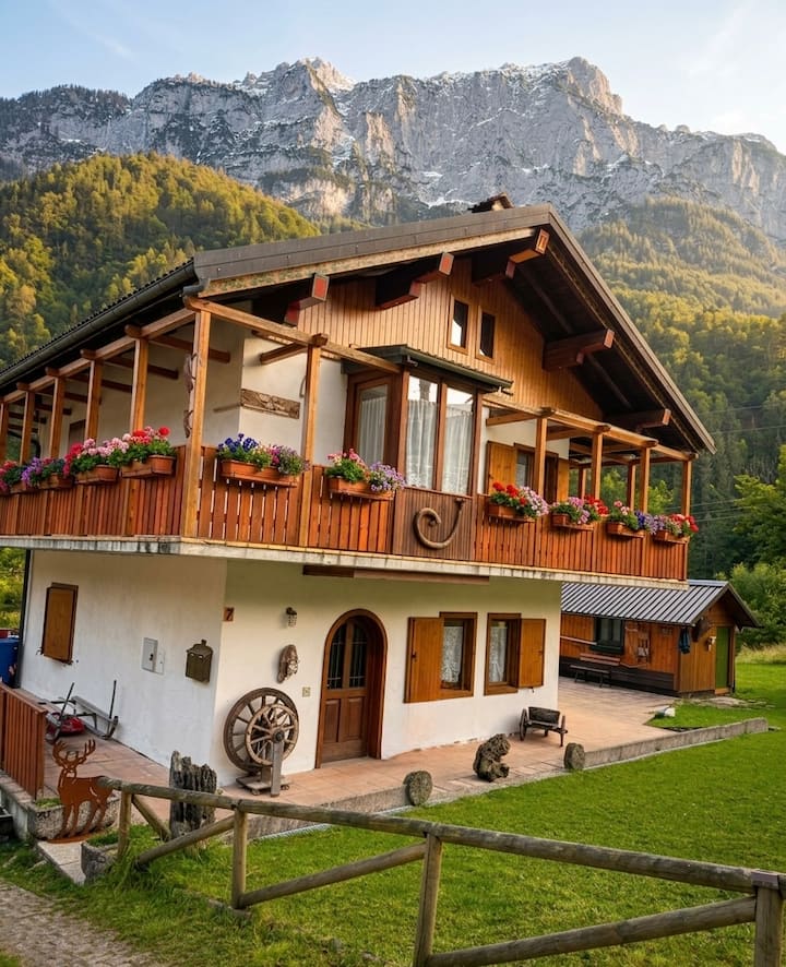 Dolomiti Alpine Home - Agordo