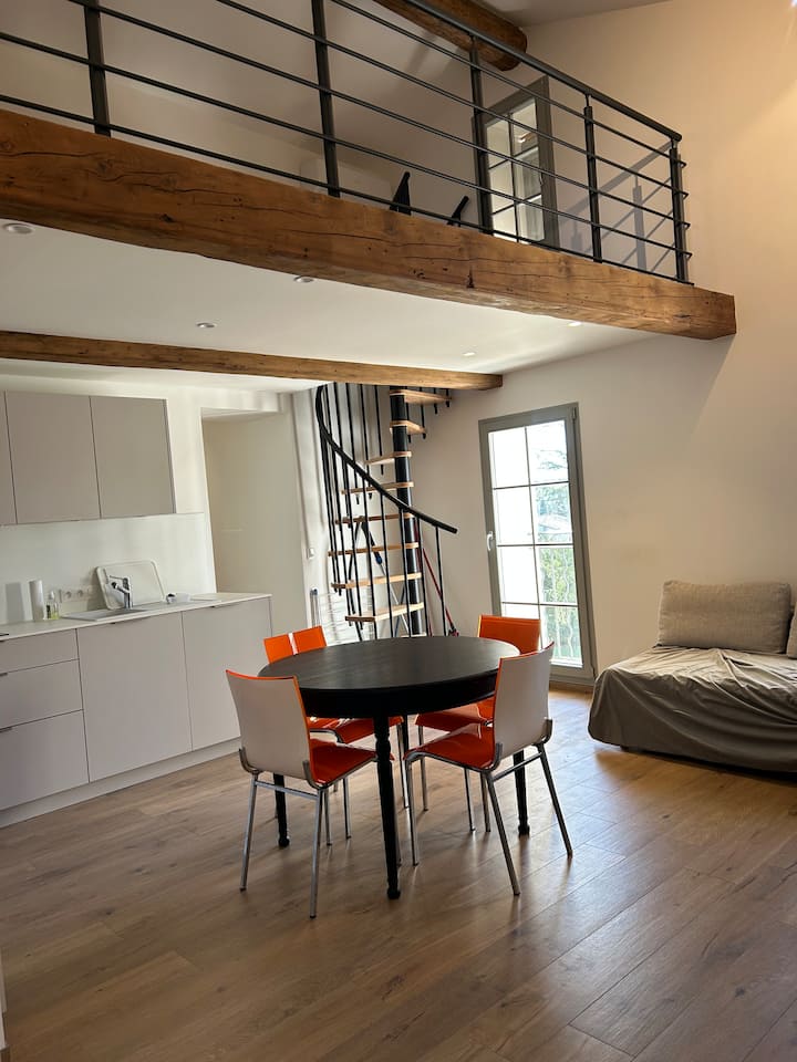 Appart. 3 Chambres 3 Sdb Aix-en-provence - Aix-en-Provence