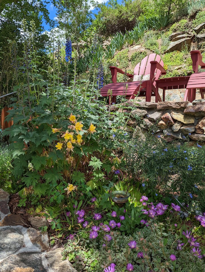 Wallflower Cottage Idaho Springs - Idaho Springs