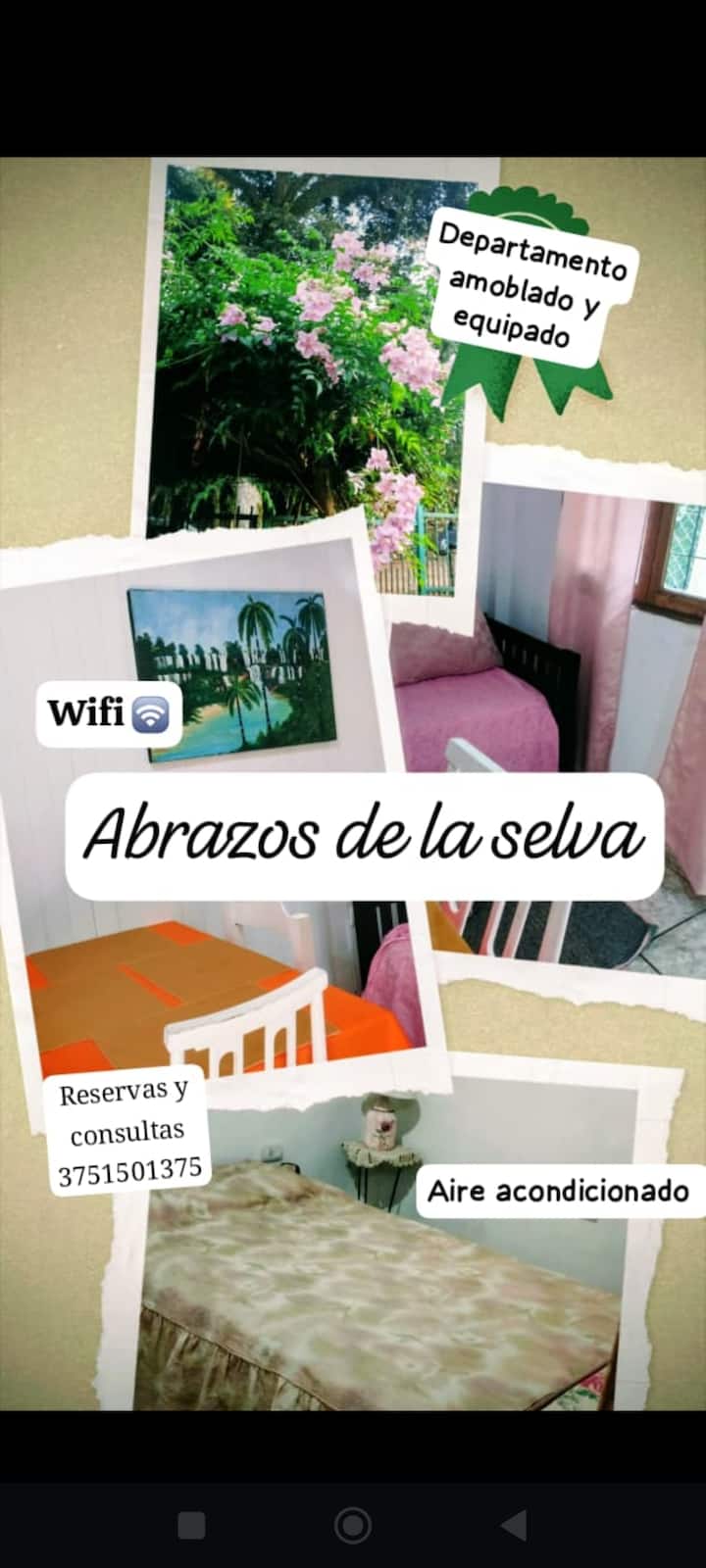 Abrazo De La Selva - Eldorado, Misiones, Argentina