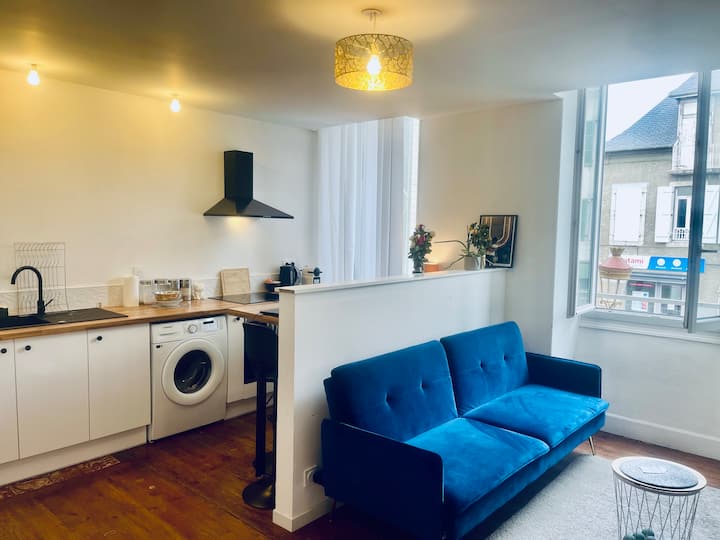 T2 Cosy Centre Tarbes – Bail Mobilité - Tarbes