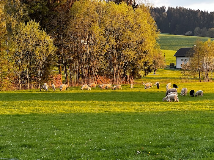 Landleben Pur: Bauernhof Mit Tieren & Ruhe - Autriche