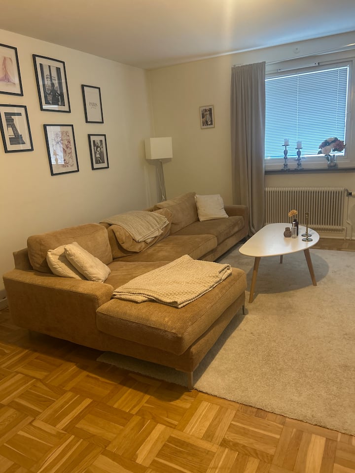 Rymligt 3a I Centrum Av Halmstad - Halmstad