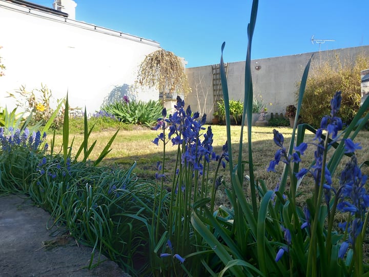 Petite Maison 39 M² - Machecoul