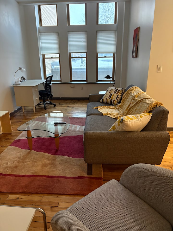 Downtown Comfy And Cozy Apartment - Rochester, NY