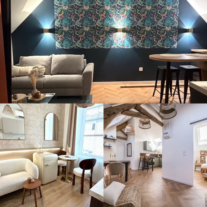 L'orée Champenoise - 3 Suites Luxe (8 à 10 Pers.) - Reims