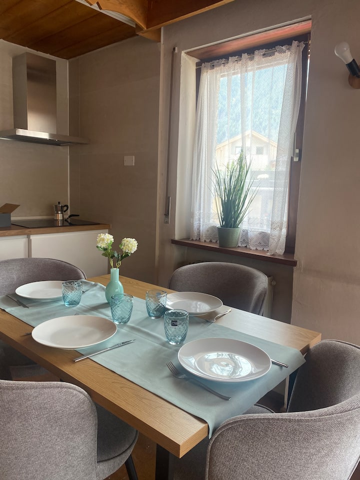 Ciasa Cianins Alpen Rose - Kronplatz