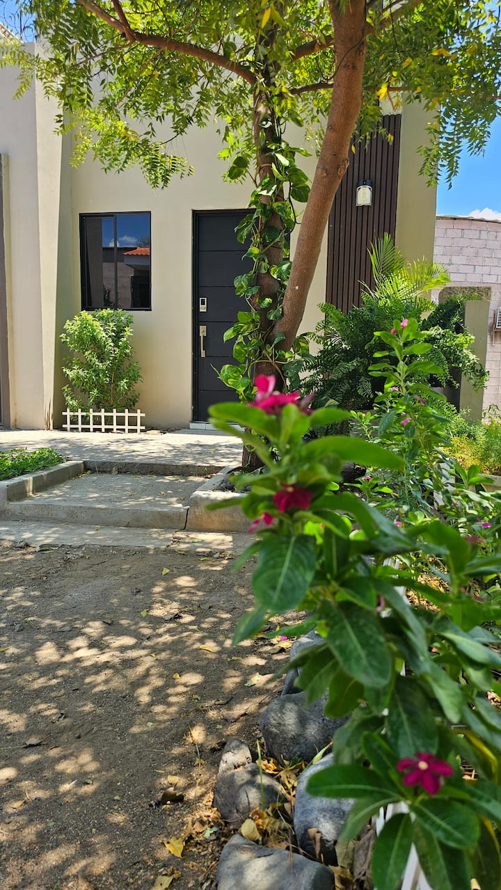 Arboria Loft - El Salvador