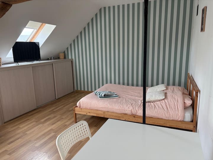 Joli Studio Au Calme - Artenay