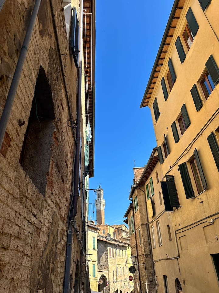 Casina Bracci | Steps From Piazza Del Campo - Siena