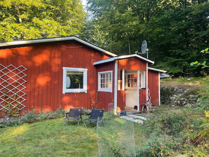 Cozy House In The Forest Of Höör - Höör