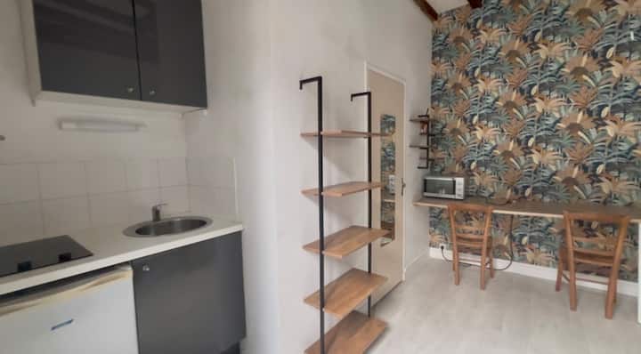 Studio Bohème Au Cœur De Tours T1 - Chambray-lès-Tours