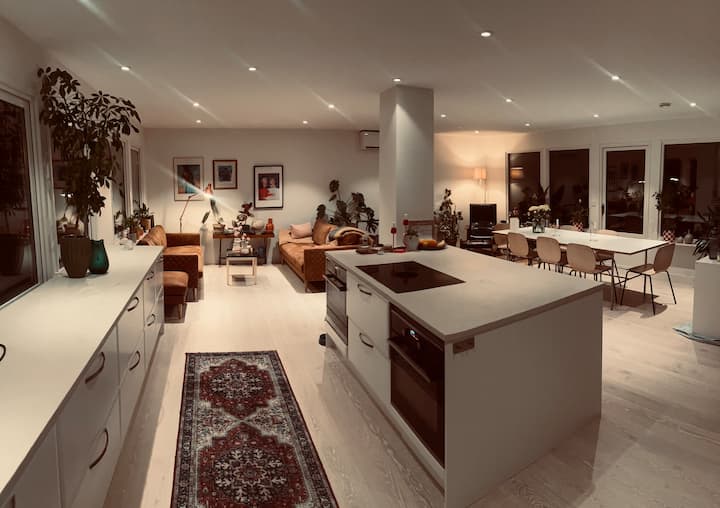 Charmigt  Hus I Lugnt Område Med Nära Till Allt. - Helsingborg